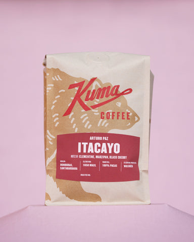 Kuma Coffee